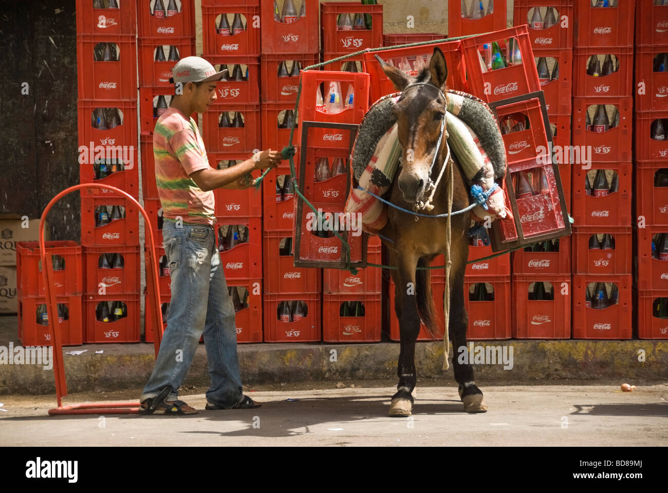 Donkey carrying goods hi-res stock photography and images - Alamy