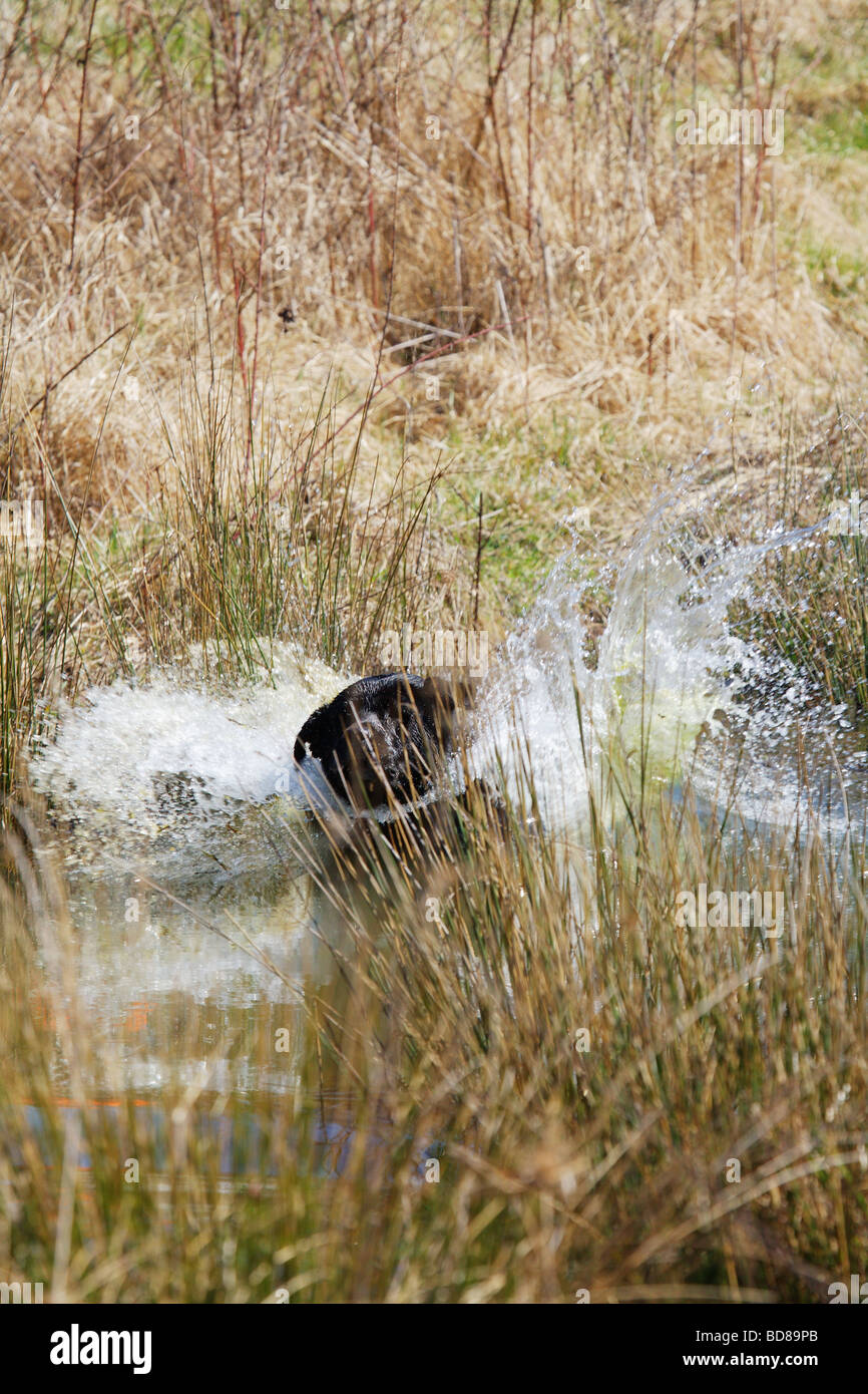 Retrieve hi-res stock photography and images - Alamy