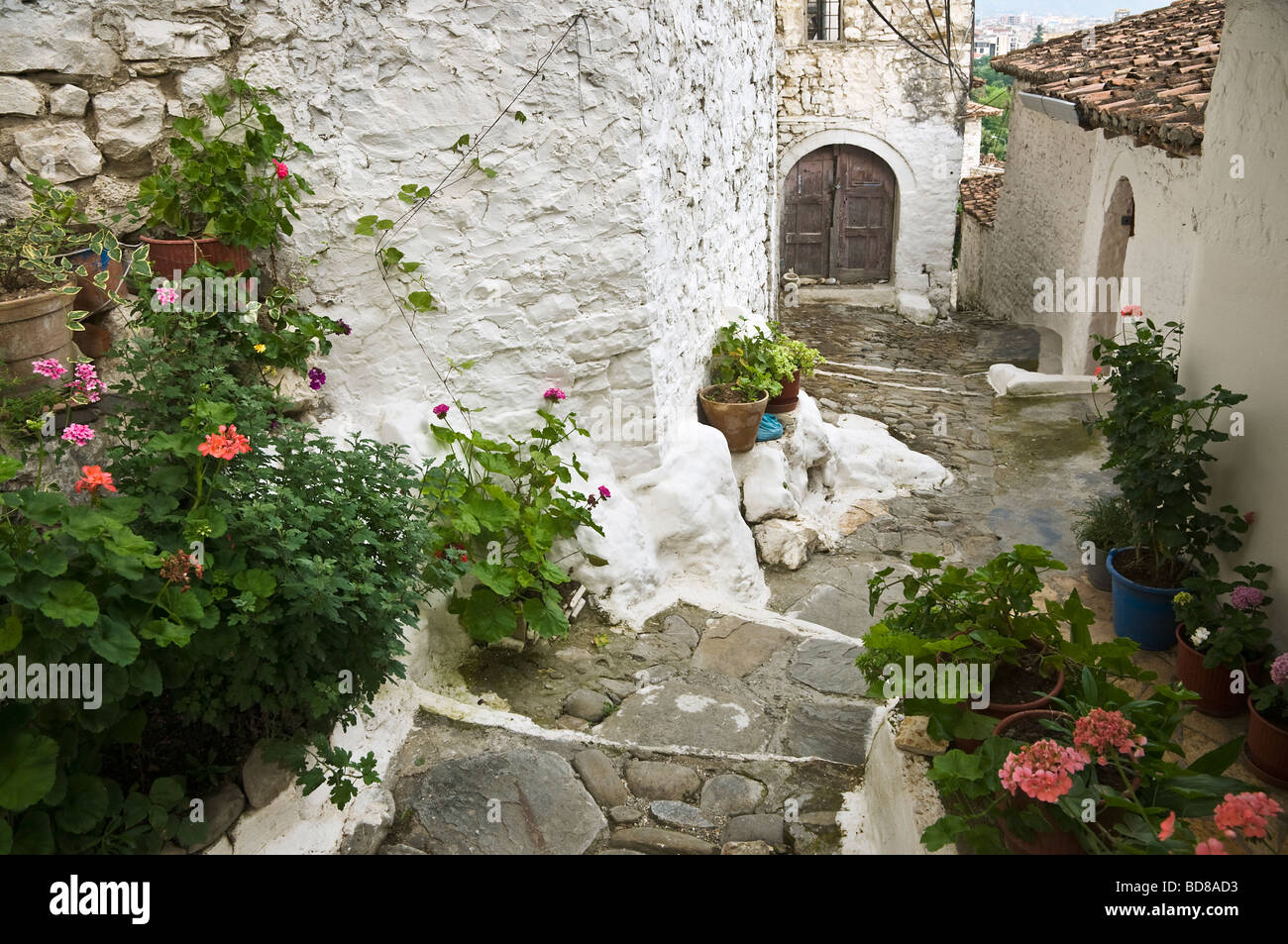 A typical narrow cobbled alleyway with ottoman period houses in the ...