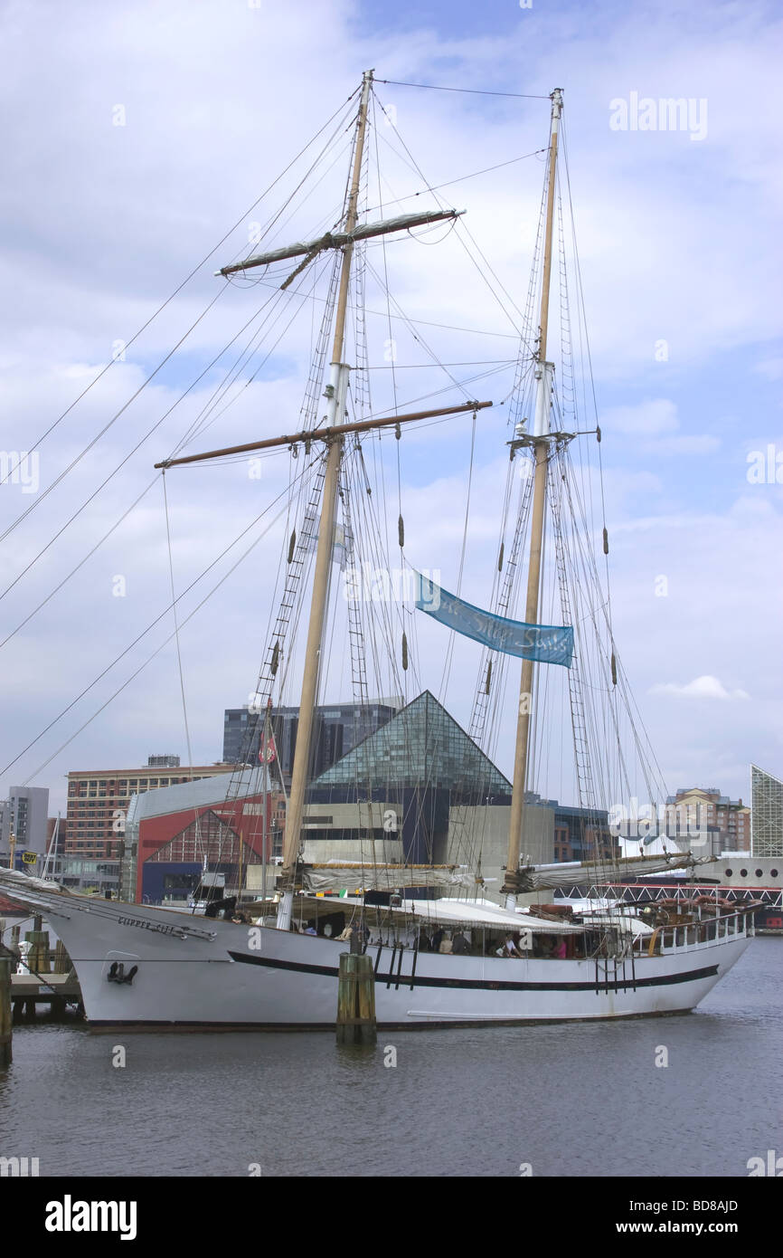 Baltimore clipper hi-res stock photography and images - Alamy
