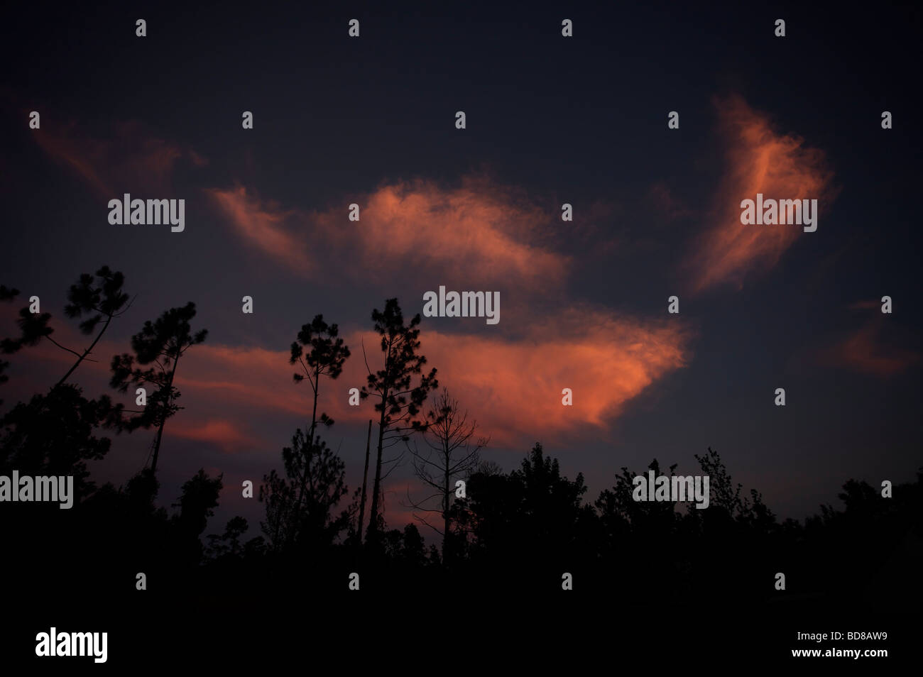 Dark night sky nice hi-res stock photography and images - Alamy