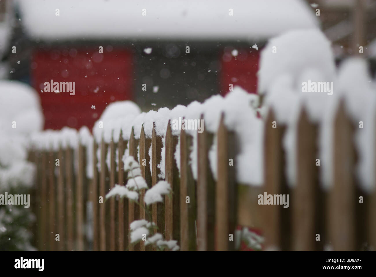 snow on a fence Stock Photo - Alamy