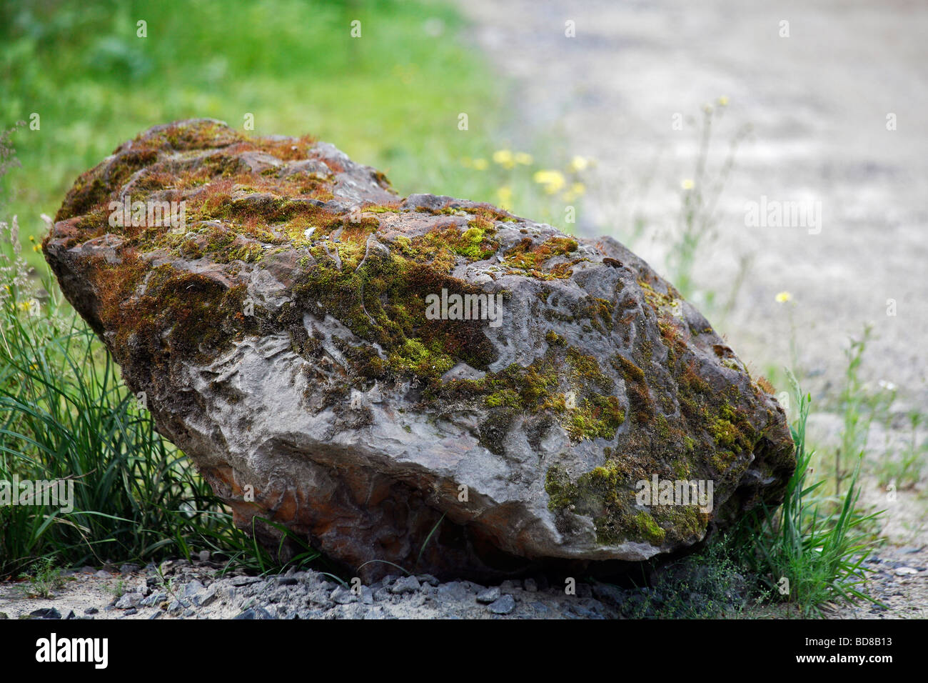 big erratic boulder Stock Photo - Alamy