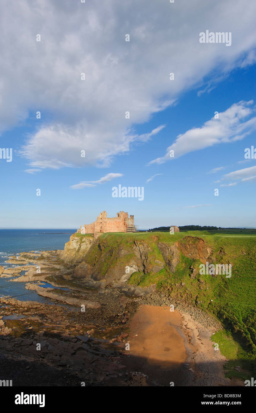 Berwick castle remains hi-res stock photography and images - Alamy