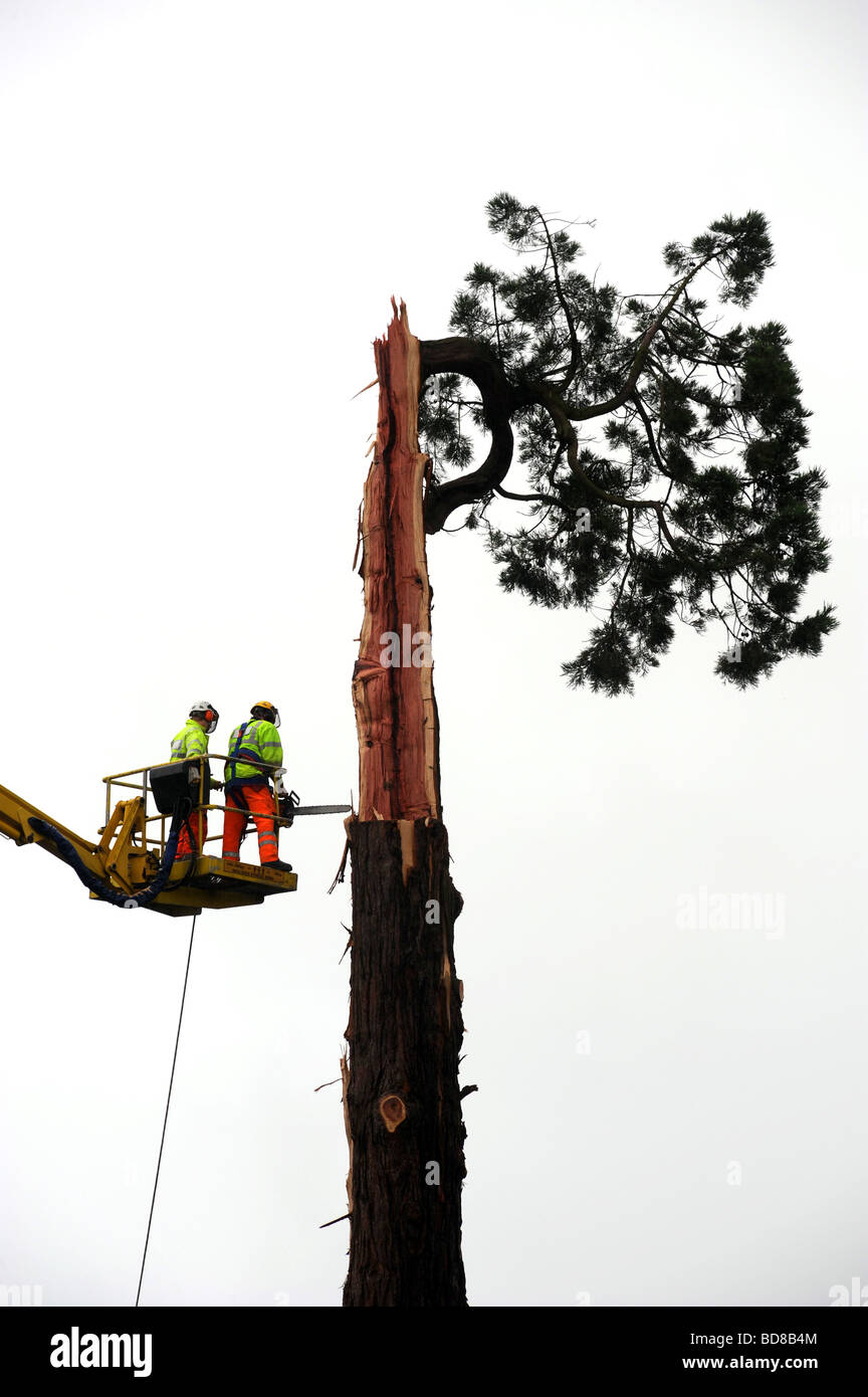 Lightning strike tree hi-res stock photography and images - Alamy