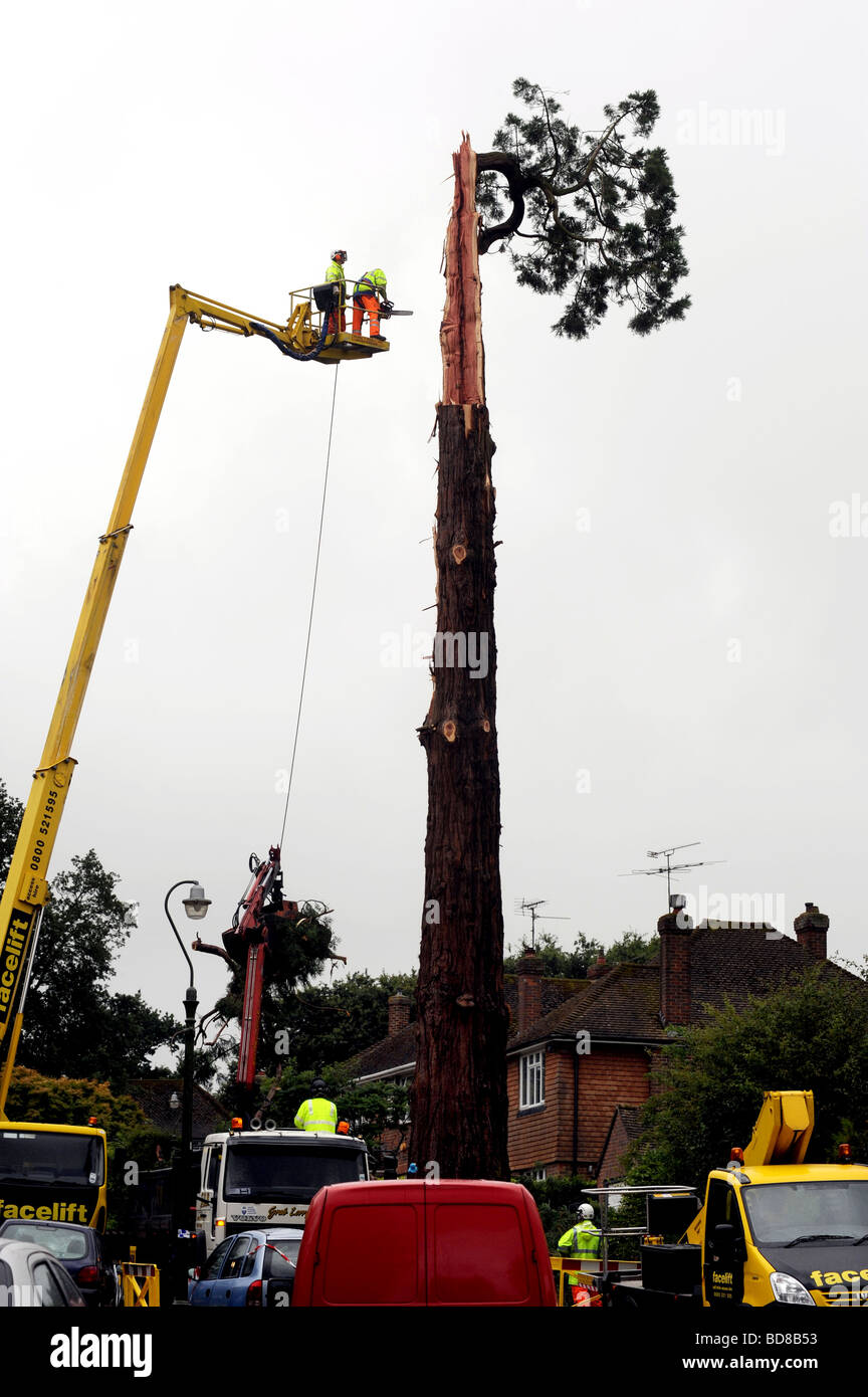 Lightning strike tree hi-res stock photography and images - Alamy