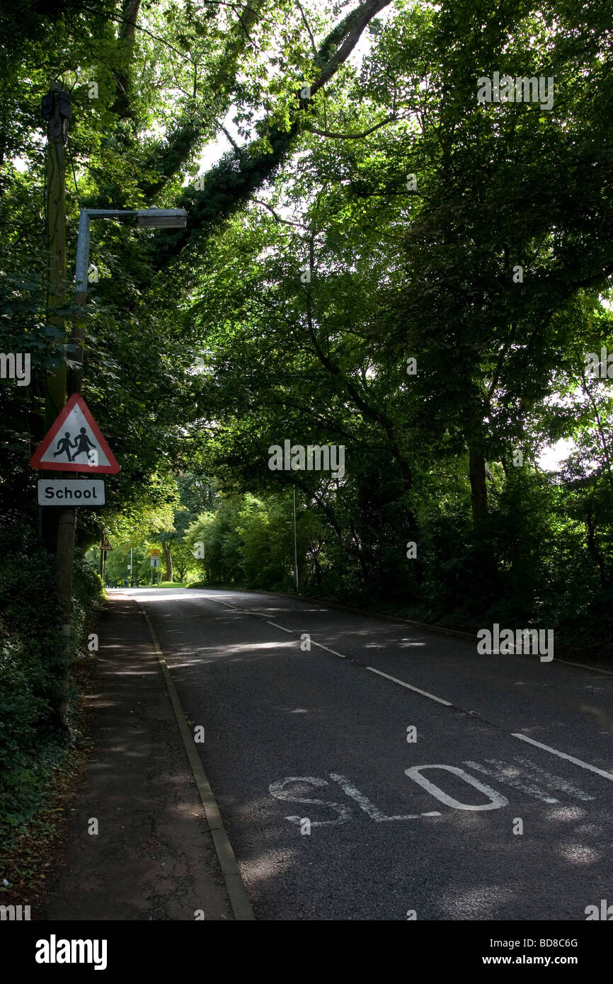School patrol crossing sign hi-res stock photography and images - Alamy