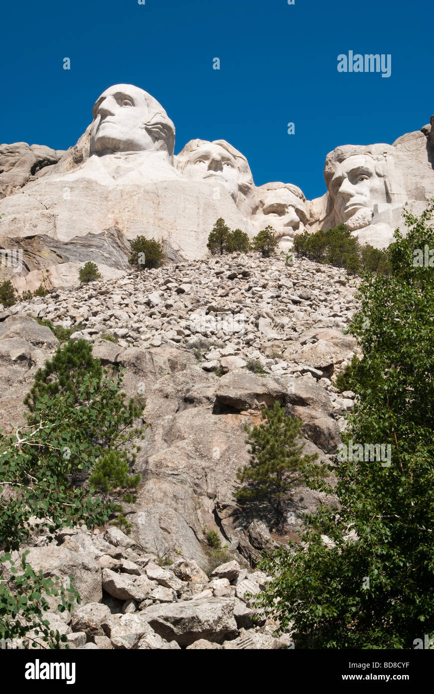view of Mount Rushmore National Memorial in the Black Hills of South ...