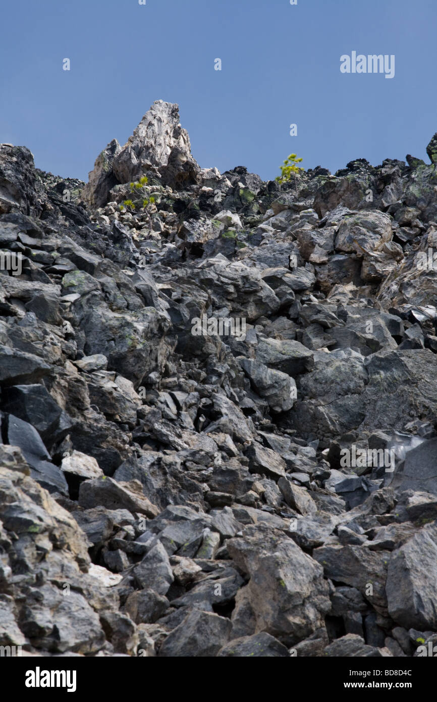 Big Obsidian Flow Newberry National Volcanic Monument in Oregon Stock Photo - Alamy