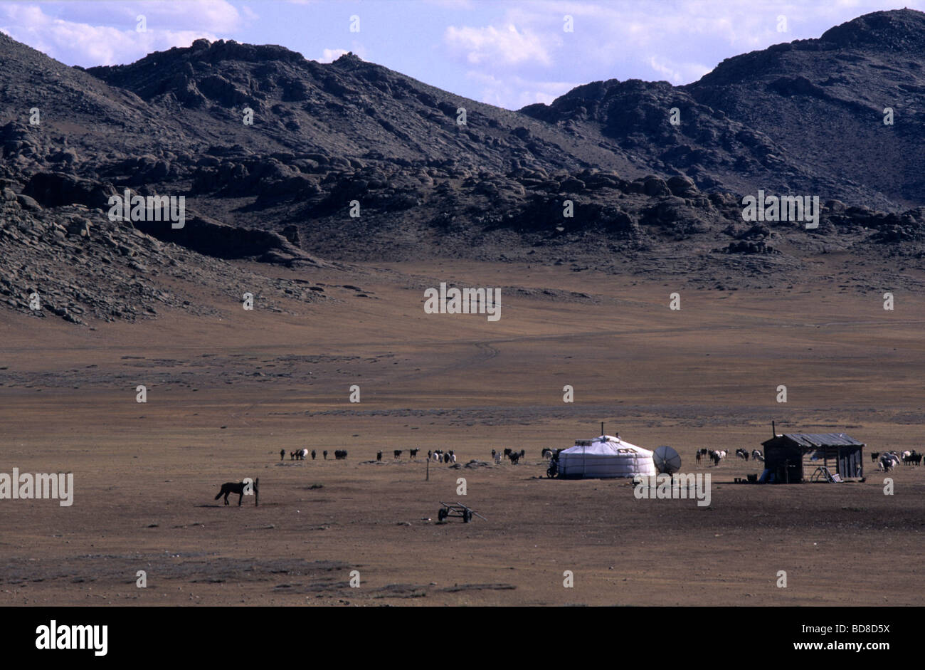 Ger in the Gobi Desert, Mongolia Stock Photo - Alamy