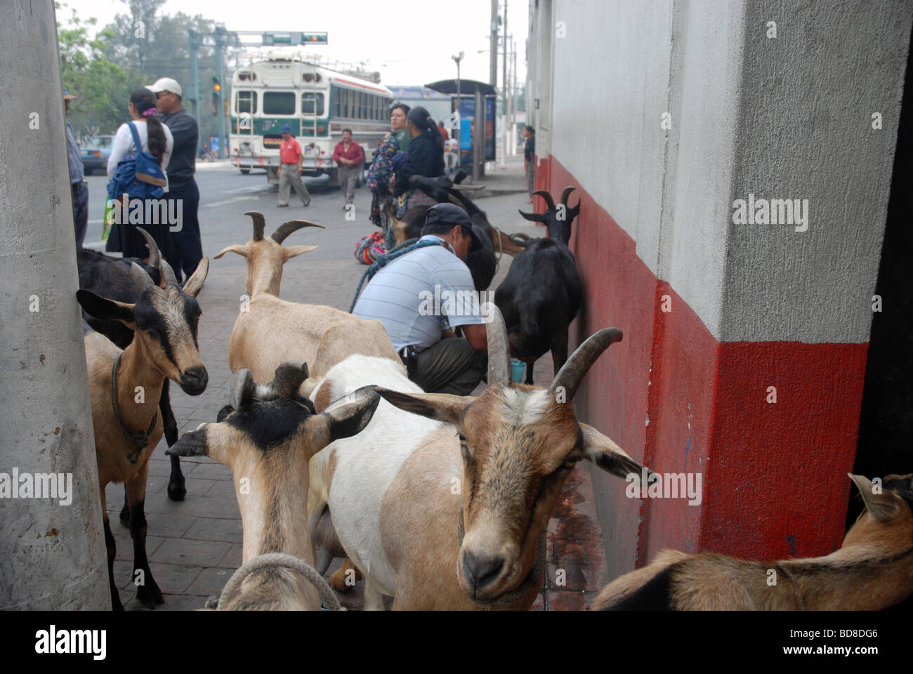 Mo fini hi-res stock photography and images - Alamy