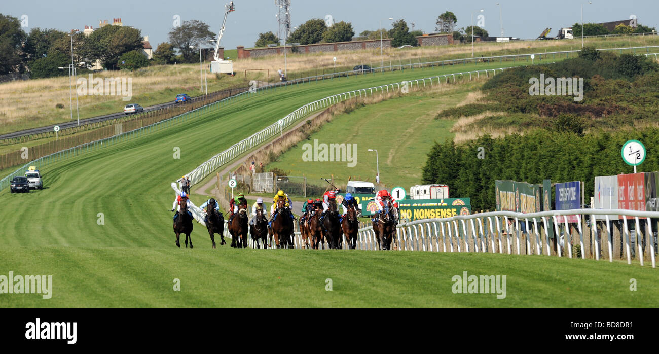 Brighton racecourse hi-res stock photography and images - Alamy