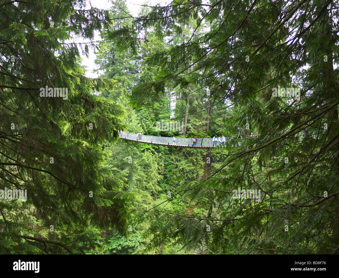 The Capilano Suspension Bridge in North Vancouver Canada Stock Photo ...