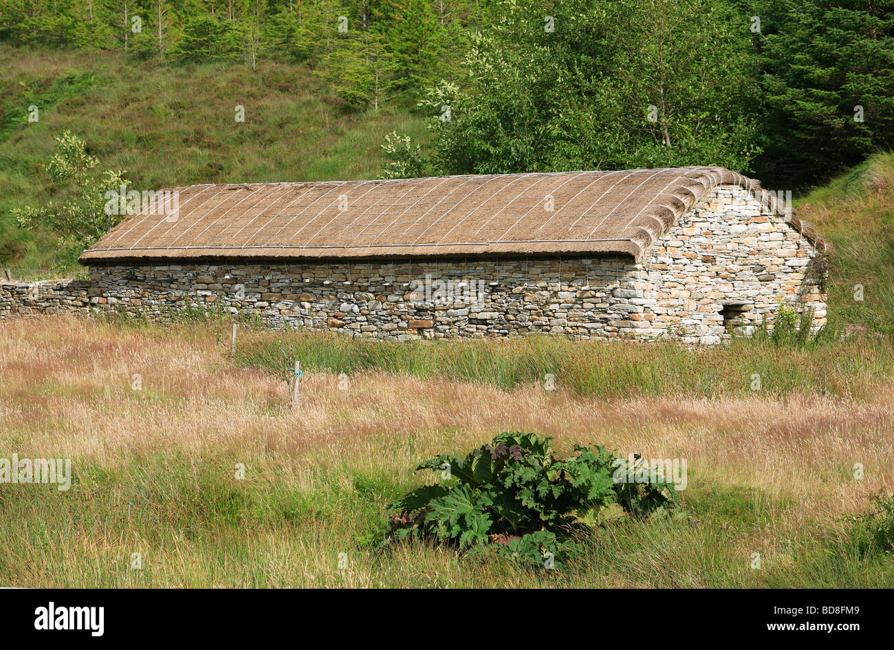 Traditional thatched stone building Stock Photo - Alamy