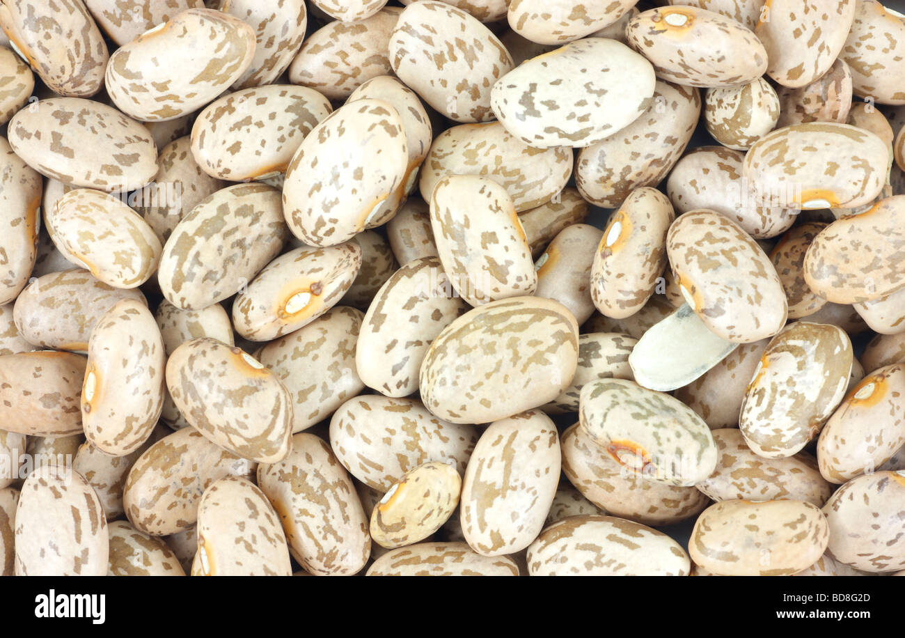 Mottled bean hi-res stock photography and images - Alamy