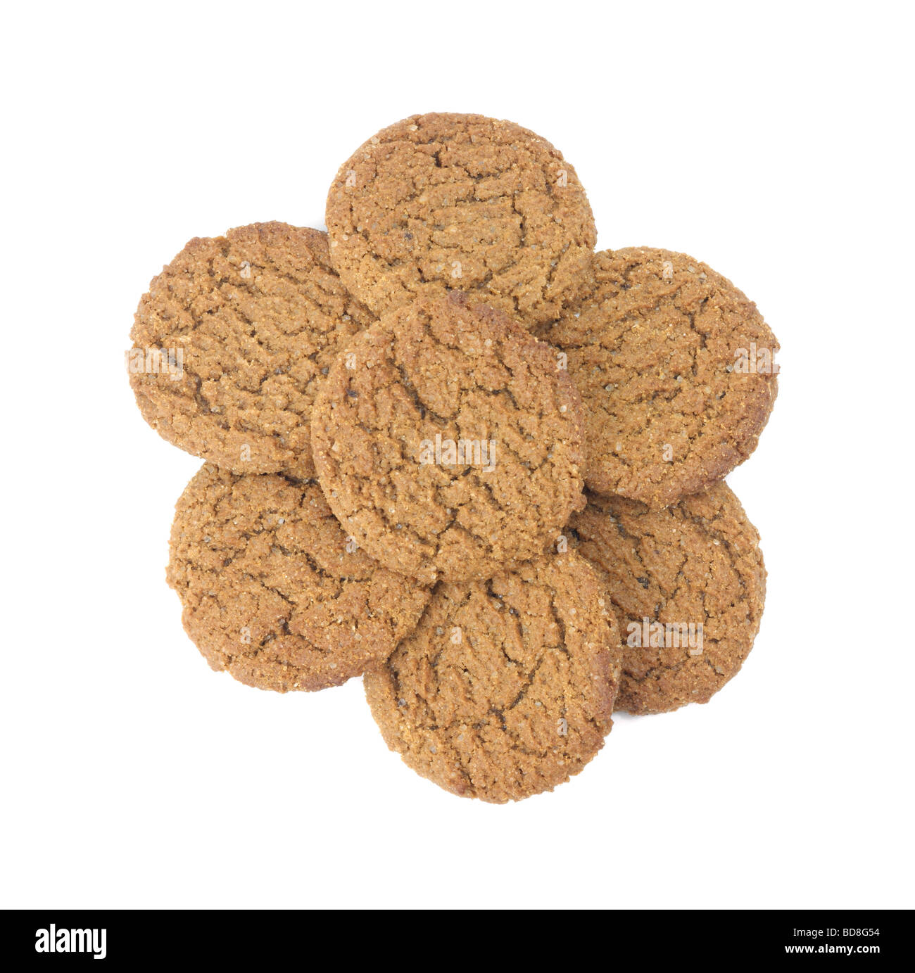 Good snap Cut Out Stock Images & Pictures - Alamy