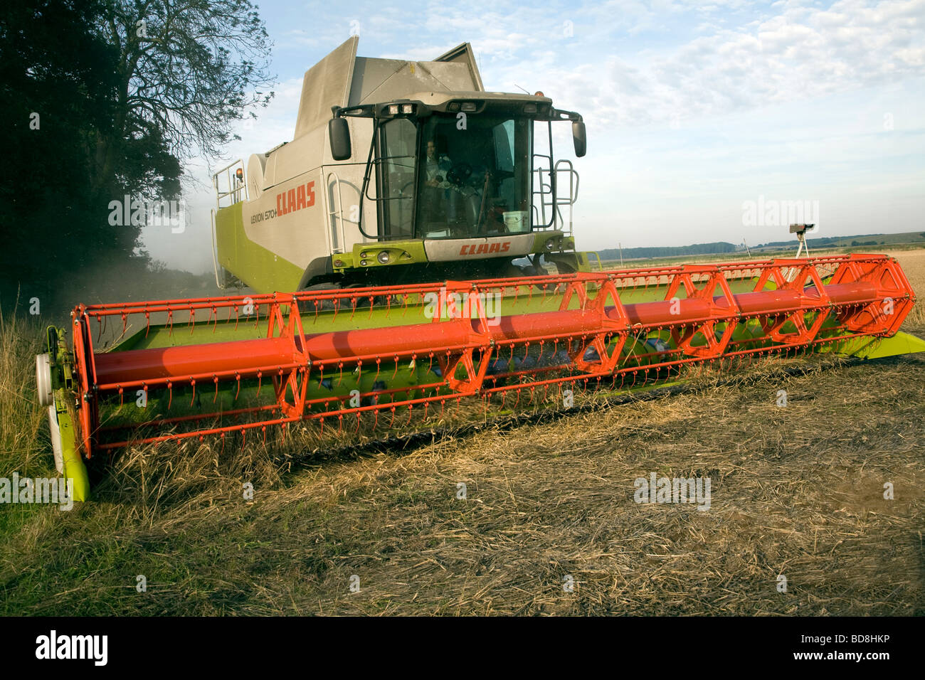 Claas Lexion combine harvester harvesting wheat Butley, Suffolk ...