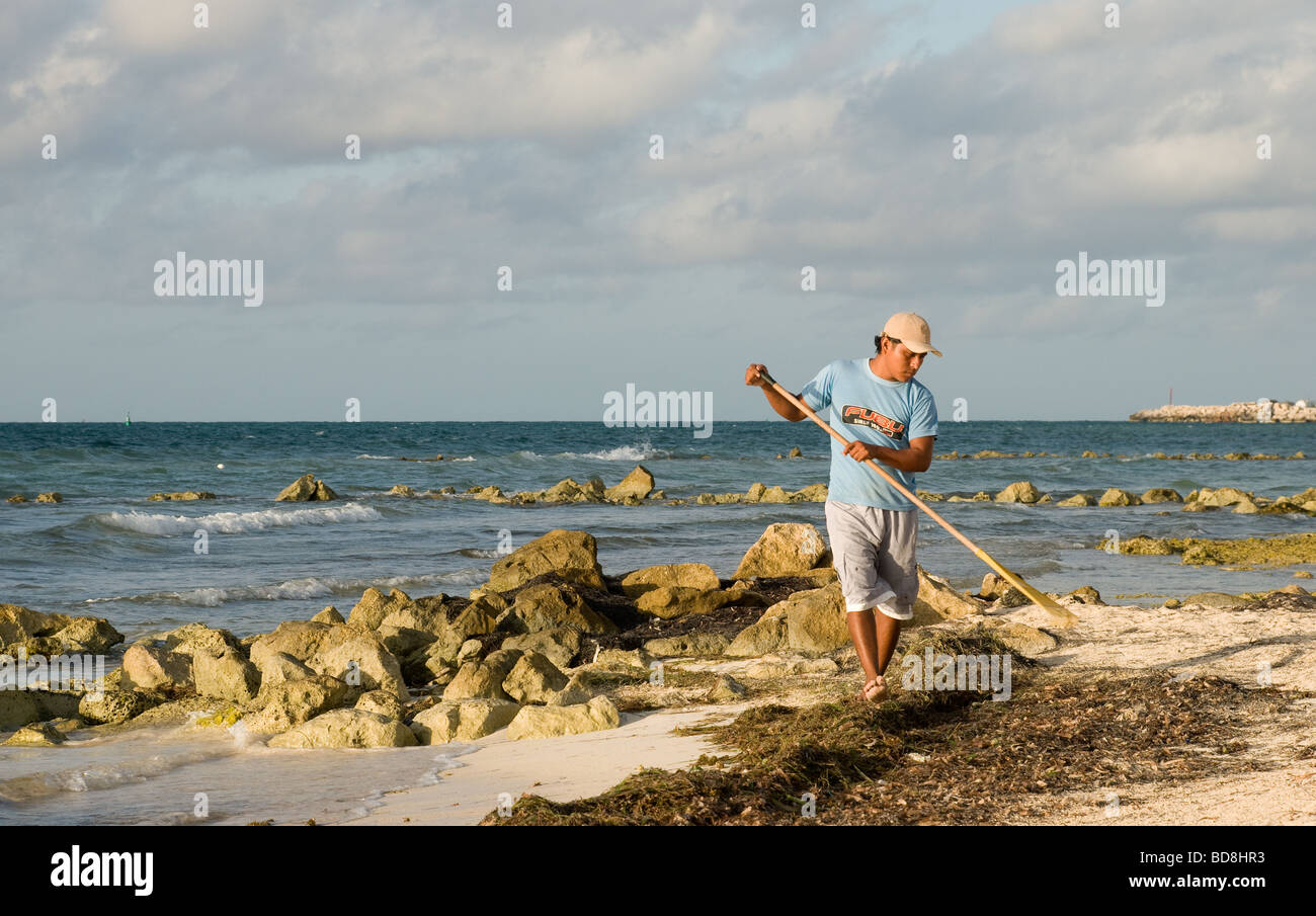 A local Mexican worker rakes debris from one of the Mexican Riviera's ...