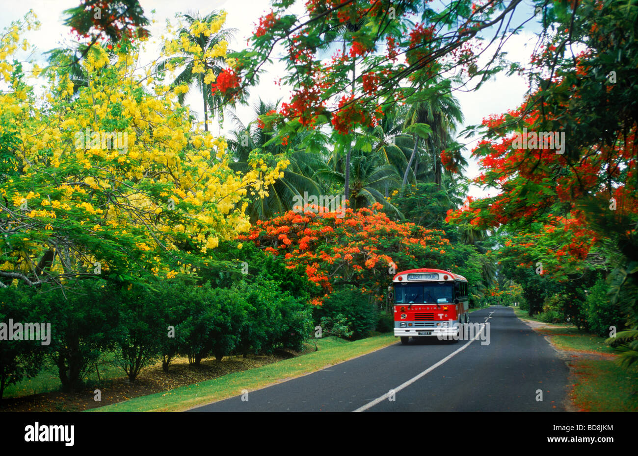 Rarotonga cook islands bus hi-res stock photography and images - Alamy