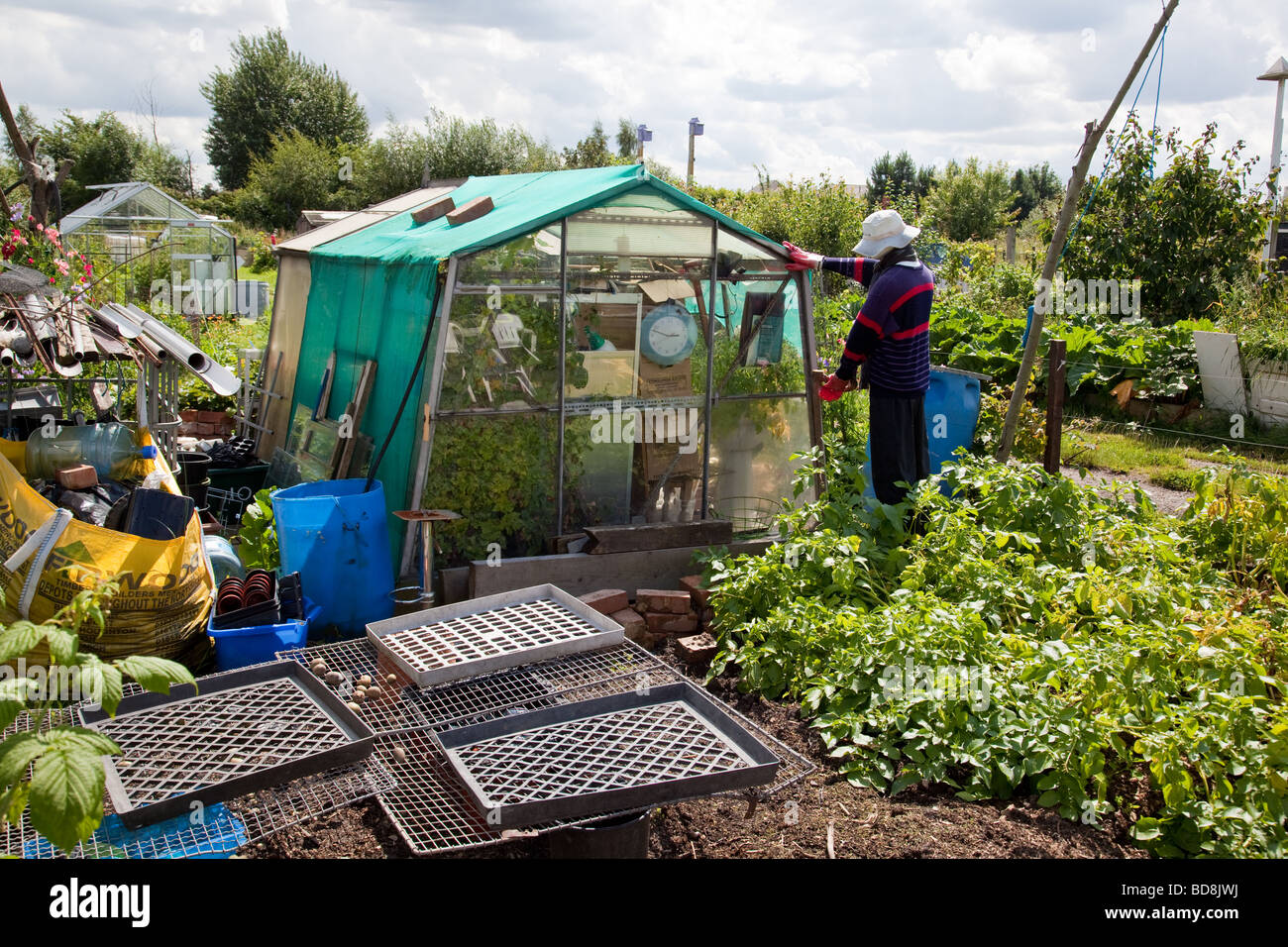 Real scarecrow hi-res stock photography and images - Alamy
