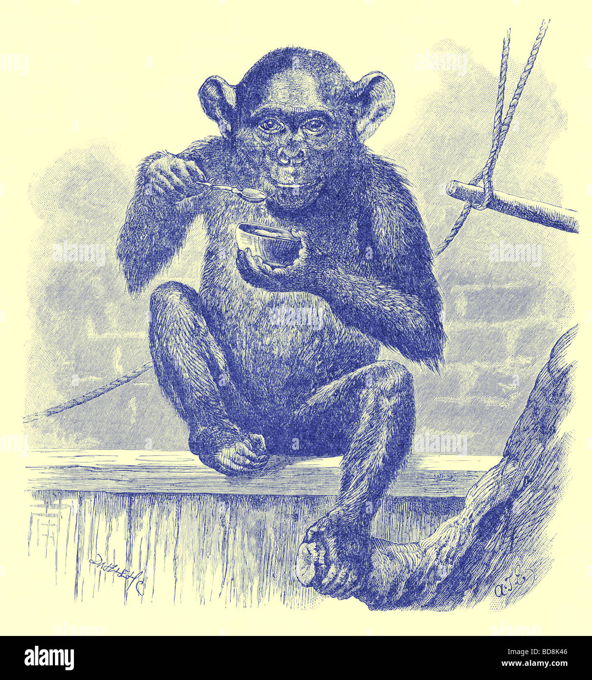 Lydekker hi-res stock photography and images - Alamy