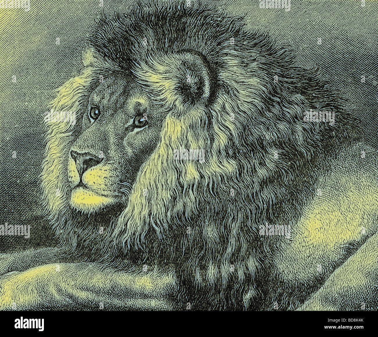 Richard Lydekker High Resolution Stock Photography and Images - Alamy