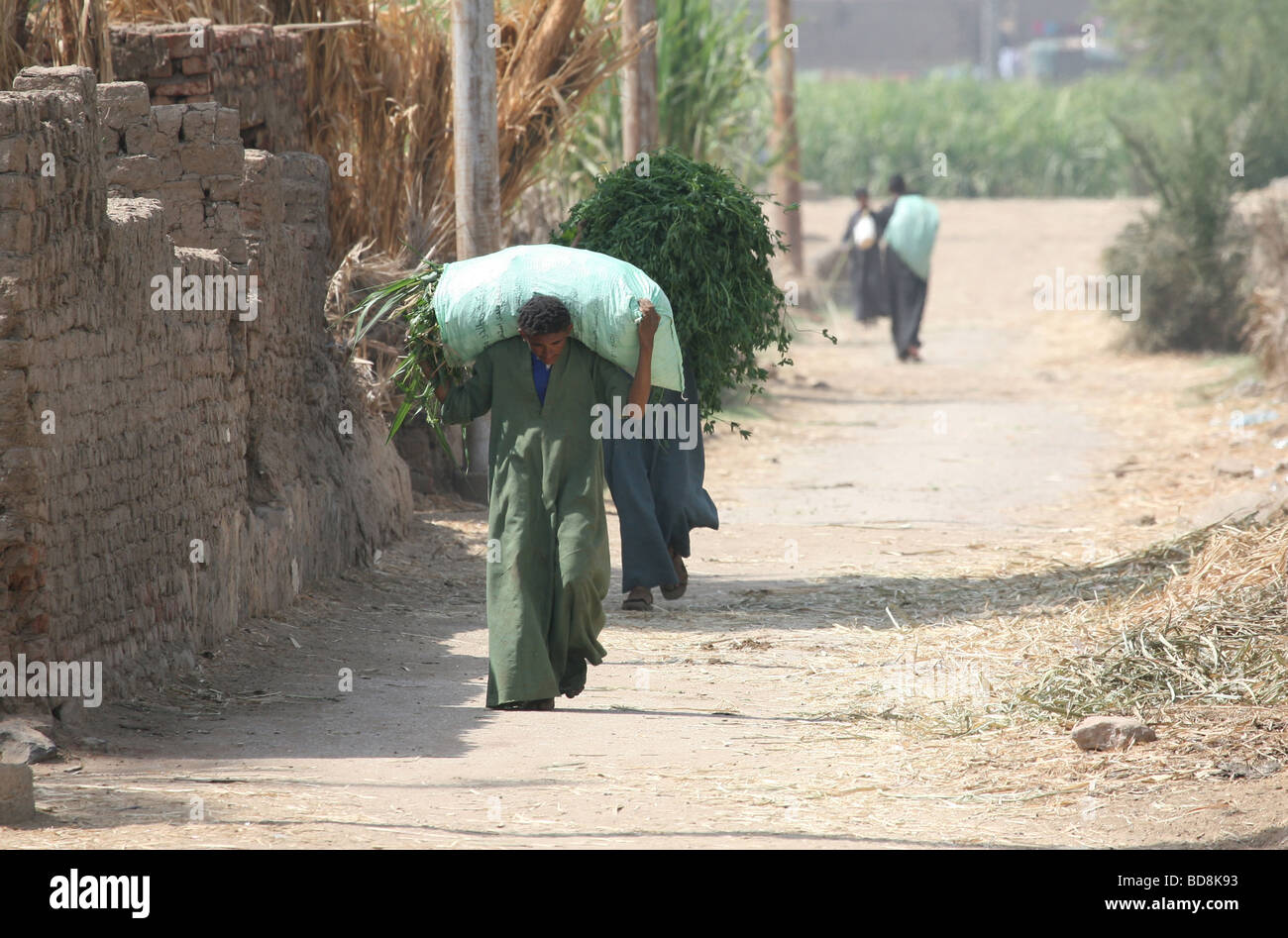 Man carrying heavy load hi-res stock photography and images - Alamy