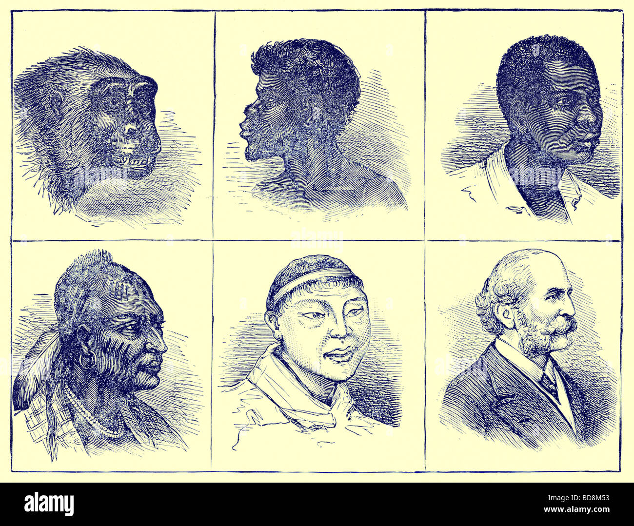 Racial stereotypes hi-res stock photography and images - Alamy