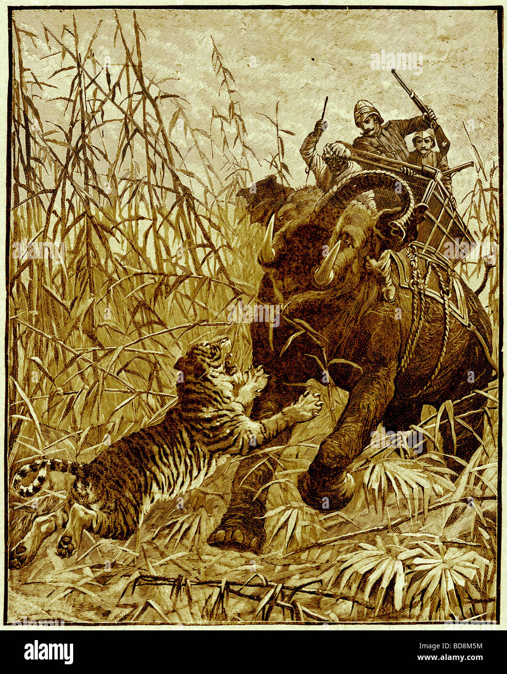 The Tiger Hunt Illustration from With the World s People by John Clark ...