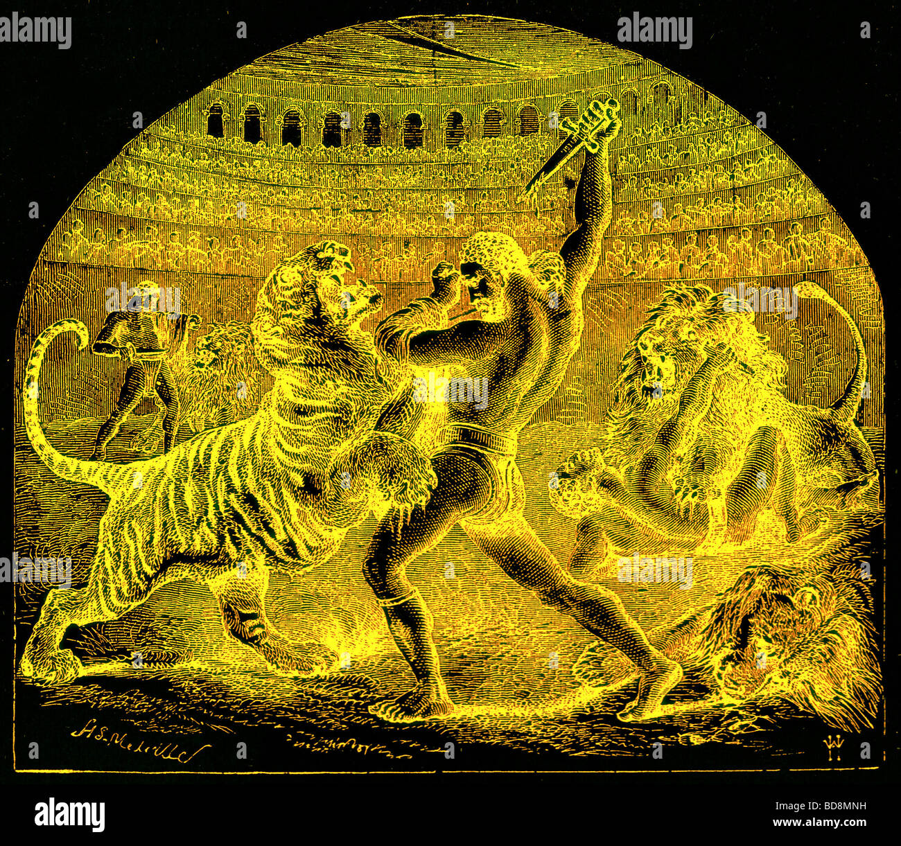 Combat of Gladiators with Wild Animals Illustration from The ...
