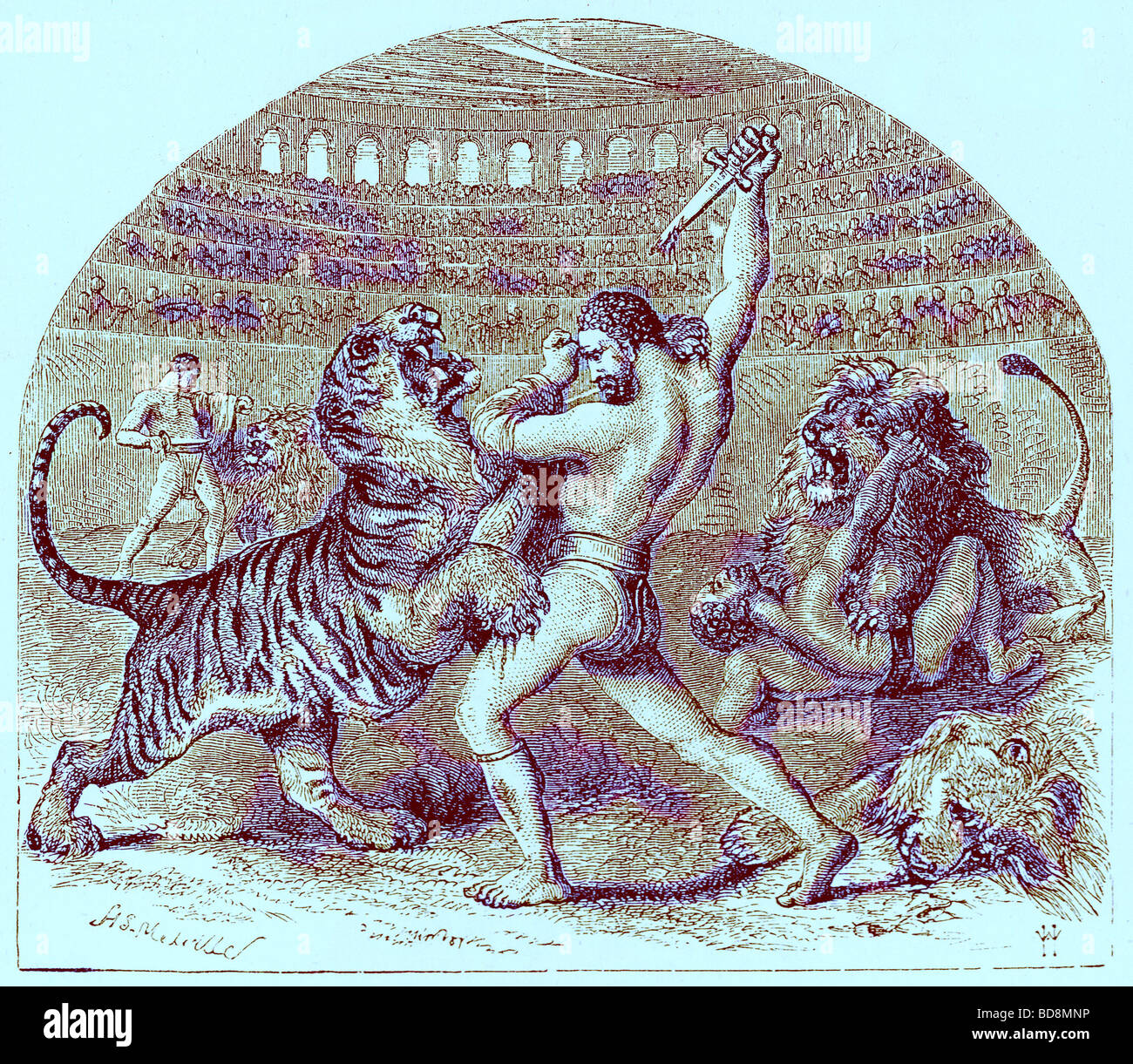 Combat of Gladiators with Wild Animals Illustration from The ...