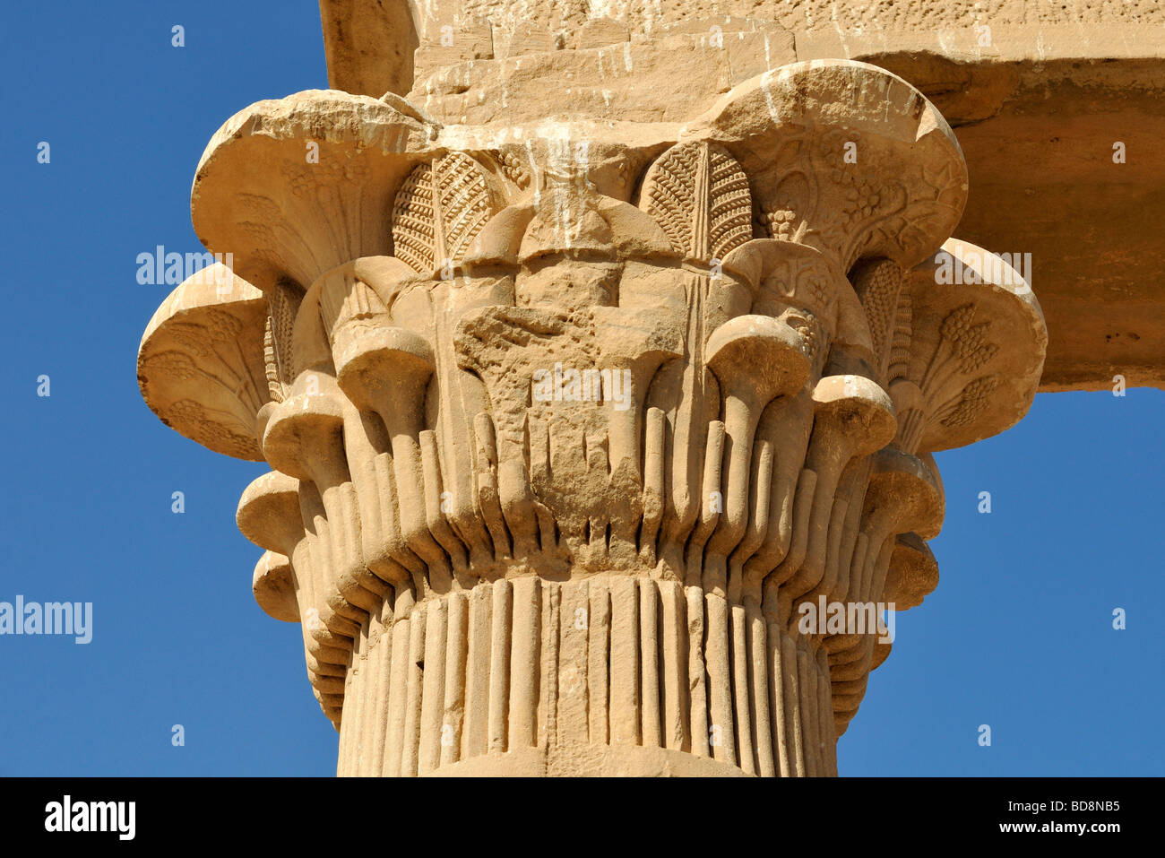 Capital of Complex Campaniform Column from Ptolemaic Era Kiosk of ...