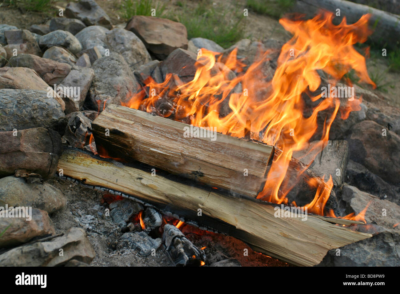 Campfire in the Willmore Wilderness Park Canada Stock Photo - Alamy