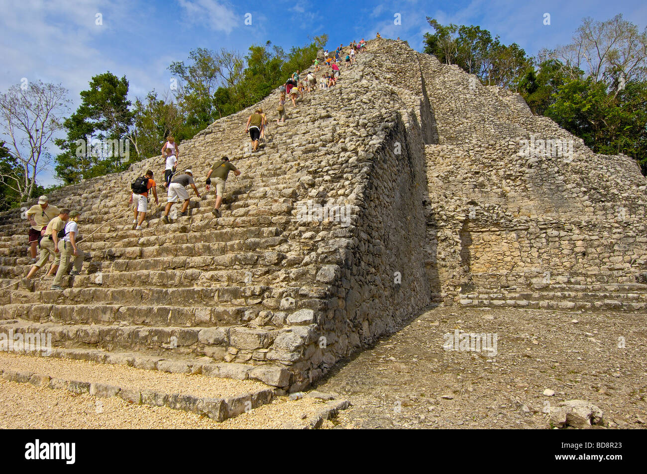Nohoch Mul Pyramid Mayan ruins of Coba Caribe Quintana Roo state Mayan ...