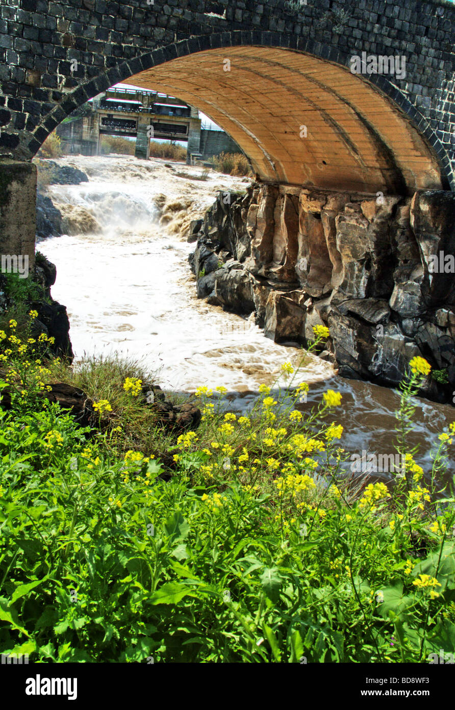 Israel Water flowing in the Jordan River south to the dead sea after ...