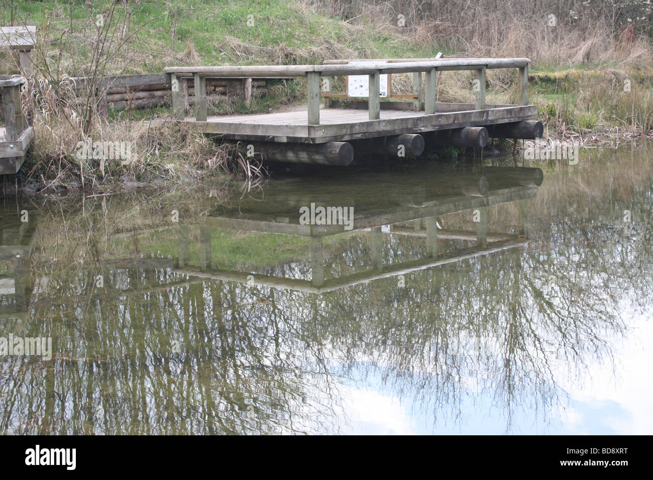 Pond Dipping Platform Stock Photo - Alamy