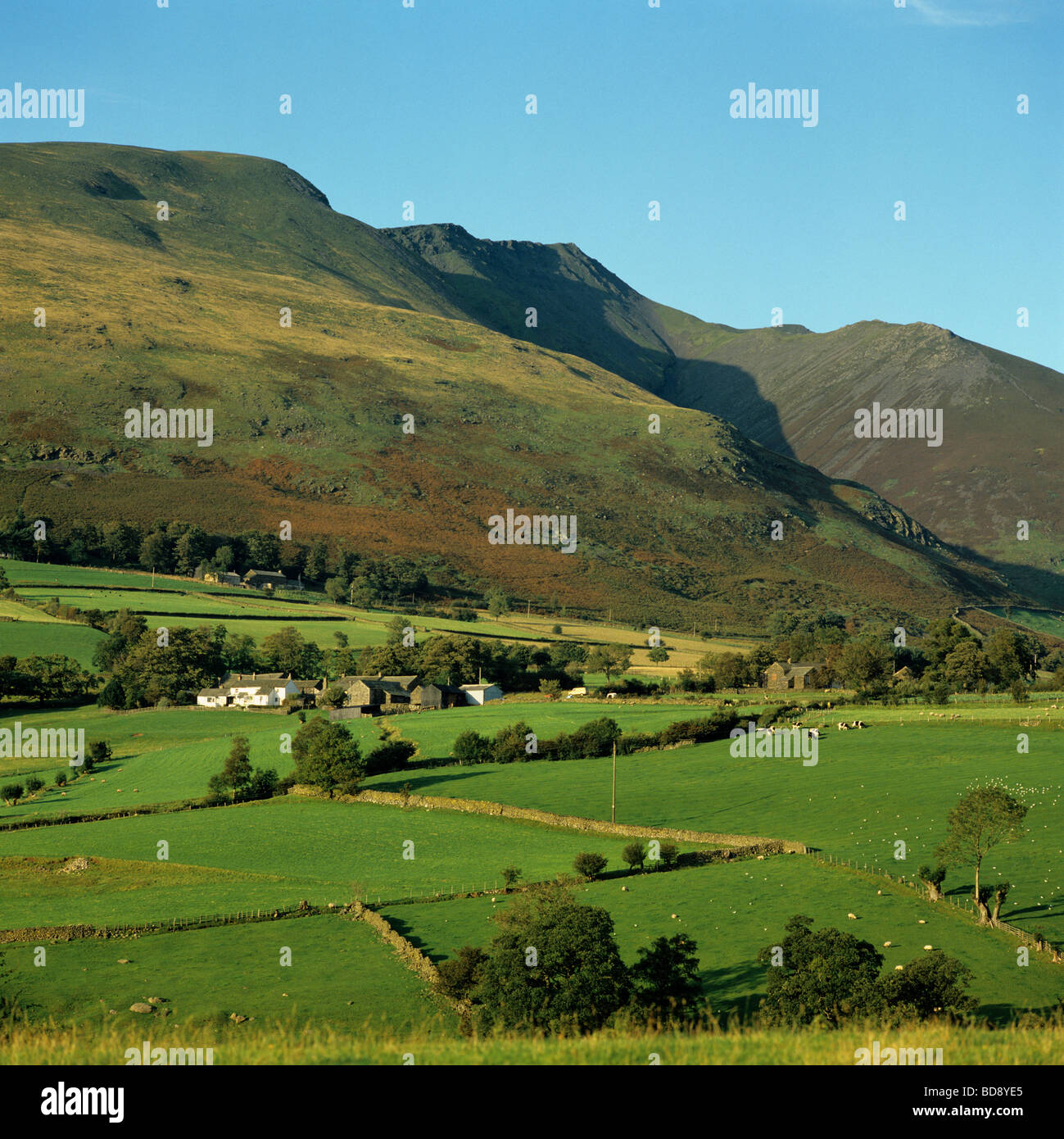 Lakeland fells near Keswick Stock Photo - Alamy