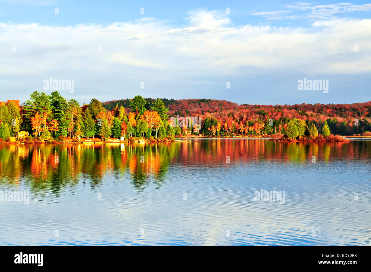 Clean calm forest lake hi-res stock photography and images - Alamy