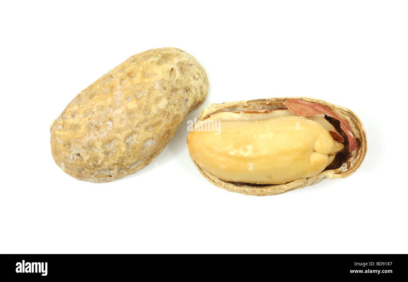 Single opened peanut Stock Photo - Alamy