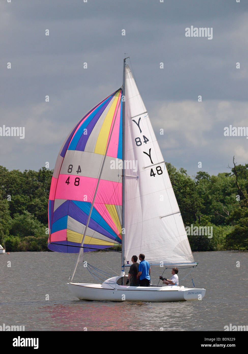 YEOMAN SAILING BOATS TAKING PART IN RACE AT WROXHAM REGATTA NORFOLK ...