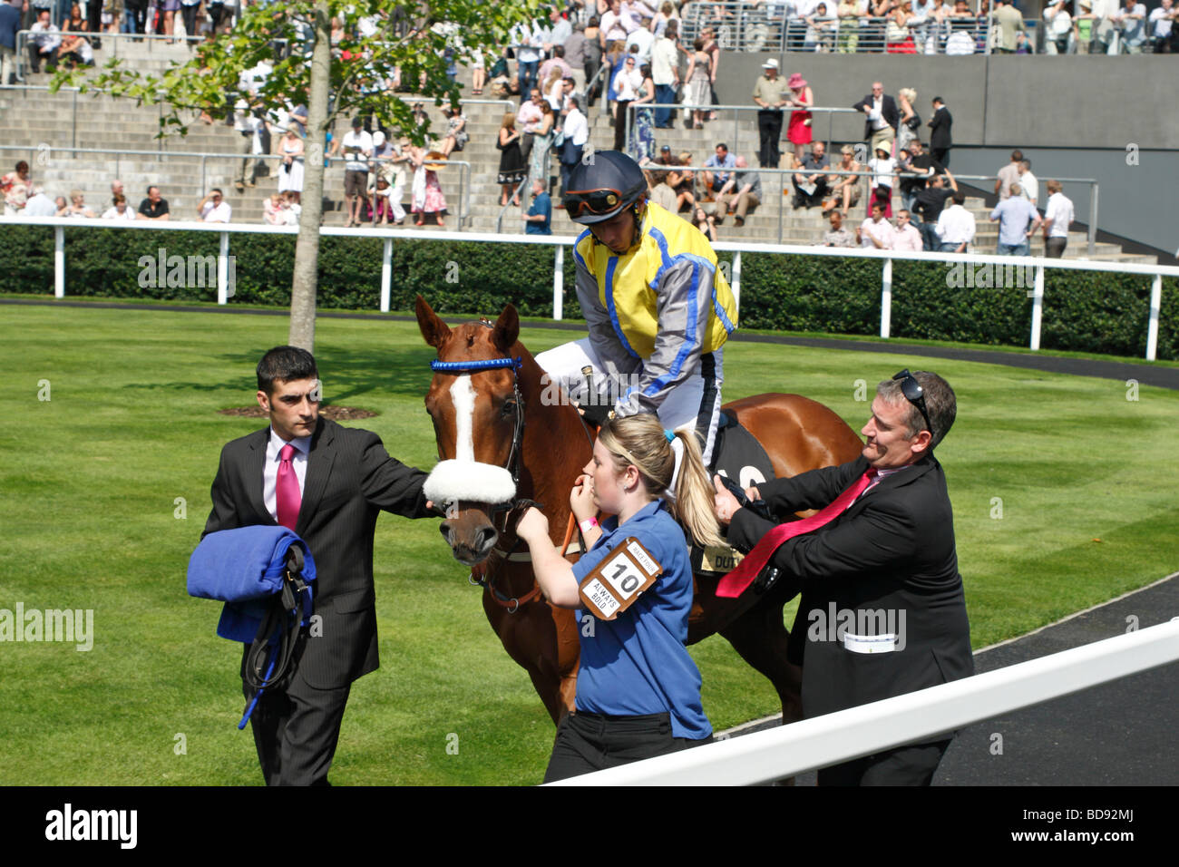 Horse trainer in stable hi-res stock photography and images - Alamy