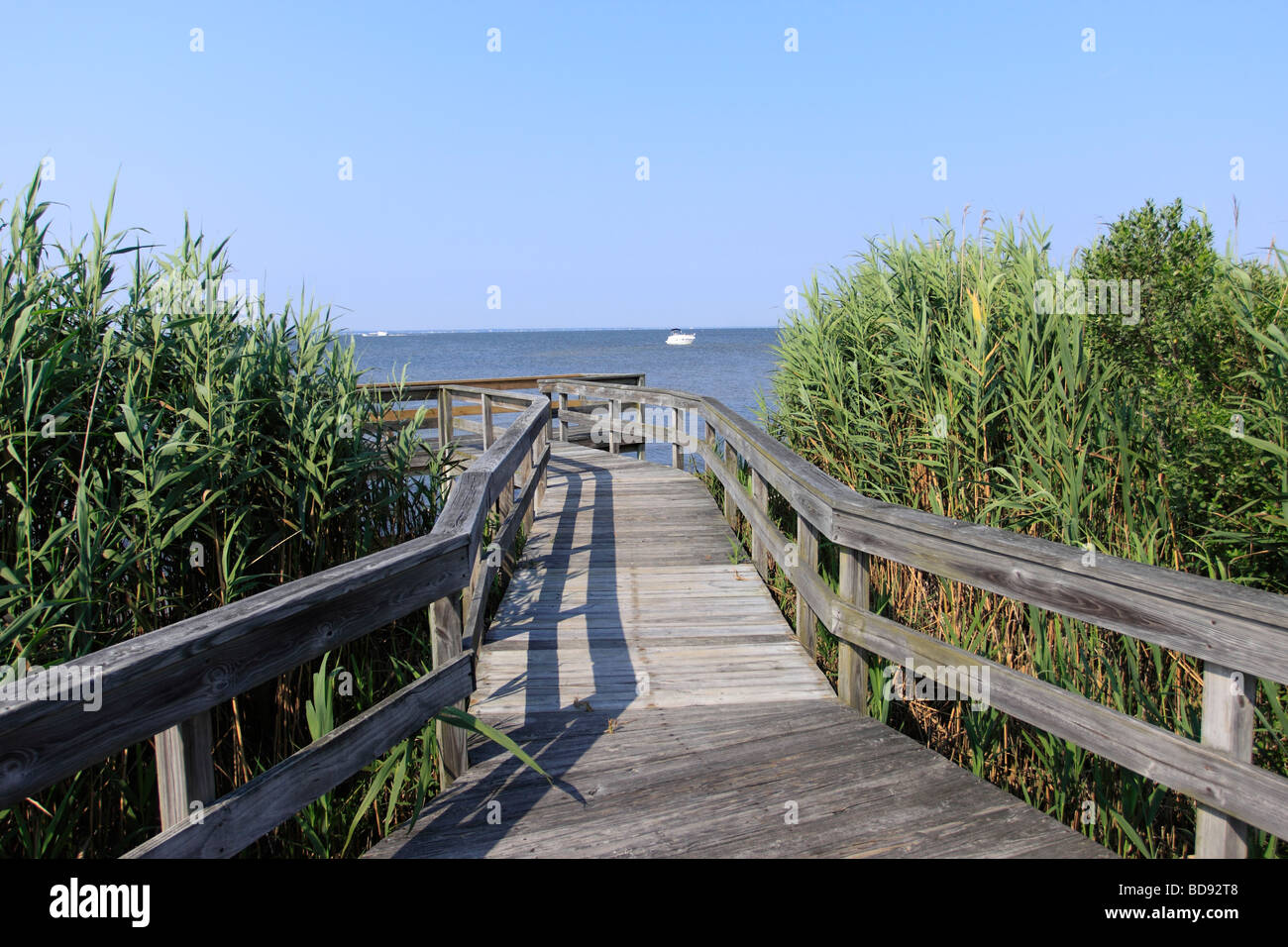 Sunken forest hi-res stock photography and images - Alamy