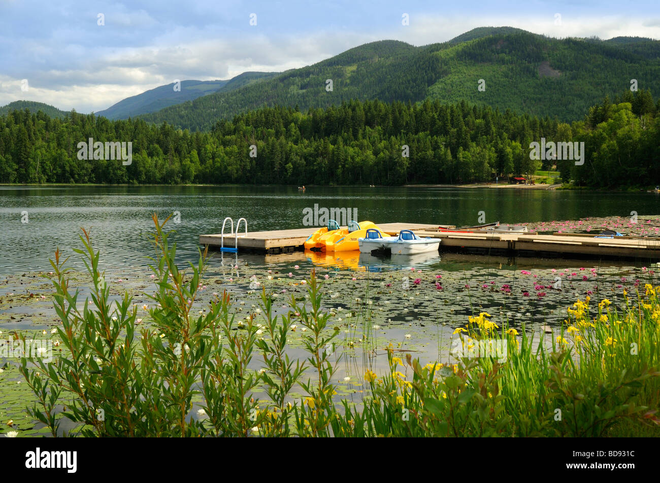Canoes amongst the Waterlilies at the beautiful and tranquil Dutch Lake ...
