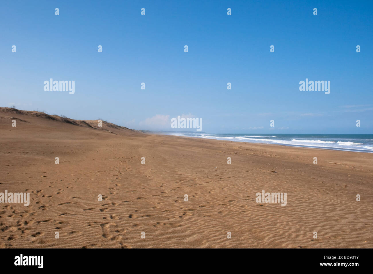 Unspoild beach at Umlalazi near Mtunzini. Umlalazi Nature Reserve ...
