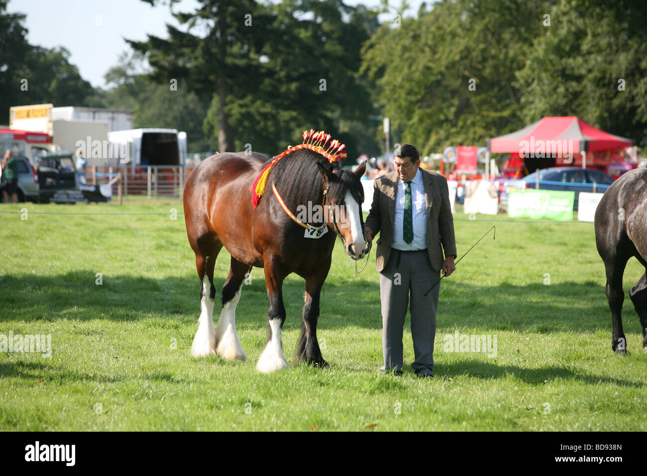 Show jumping display at the Ellingham show Stock Photo - Alamy