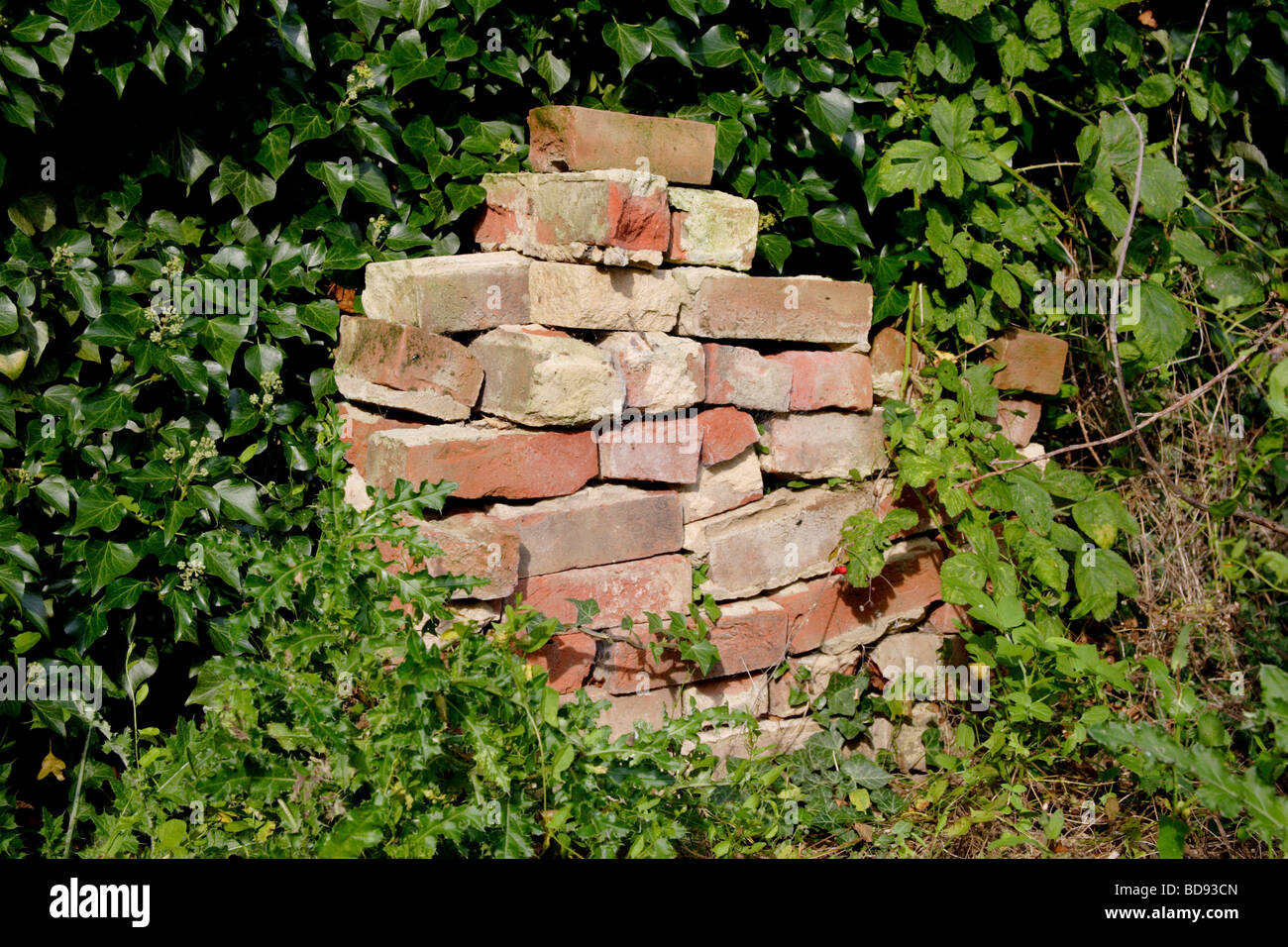 Bricks pile garden hi-res stock photography and images - Alamy