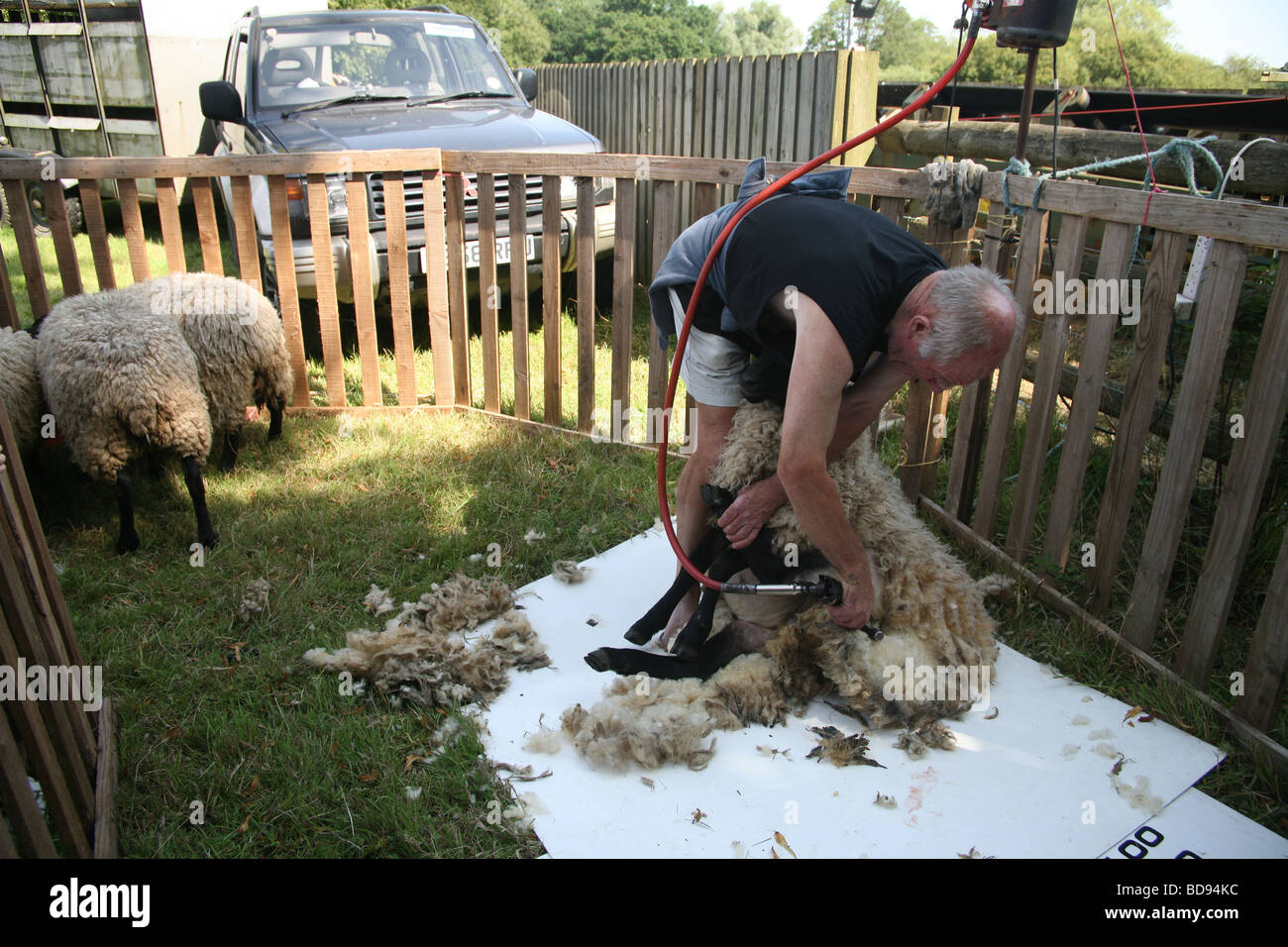 Traditional shearing hi-res stock photography and images - Alamy