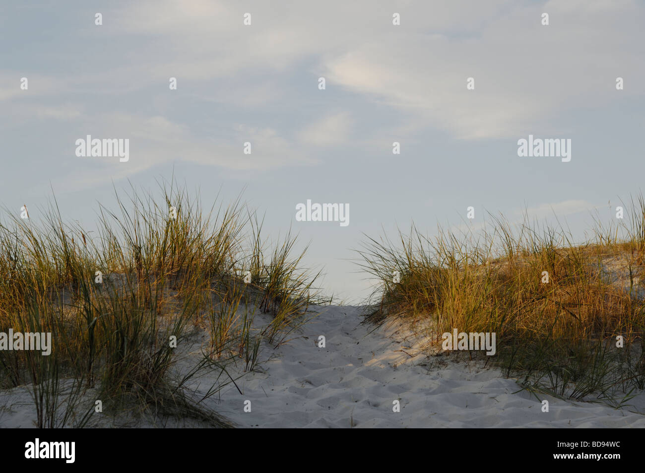 Camping ground on the beach in Prerow - Baltic Sea Stock Photo - Alamy