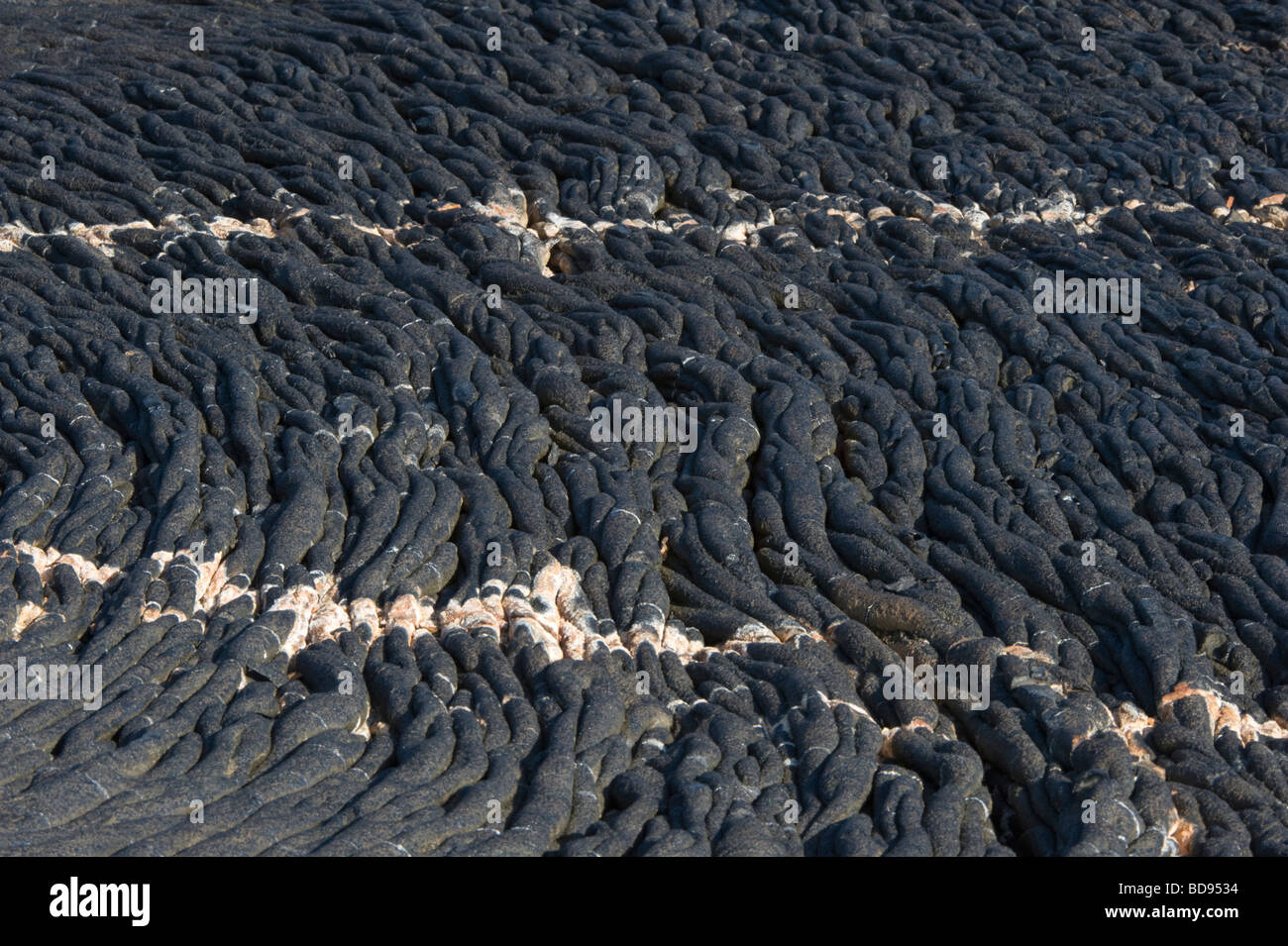 Hot Pahoehoe Lava Creates Ribbon-Like Shapes as it cools Sullivan Bay ...