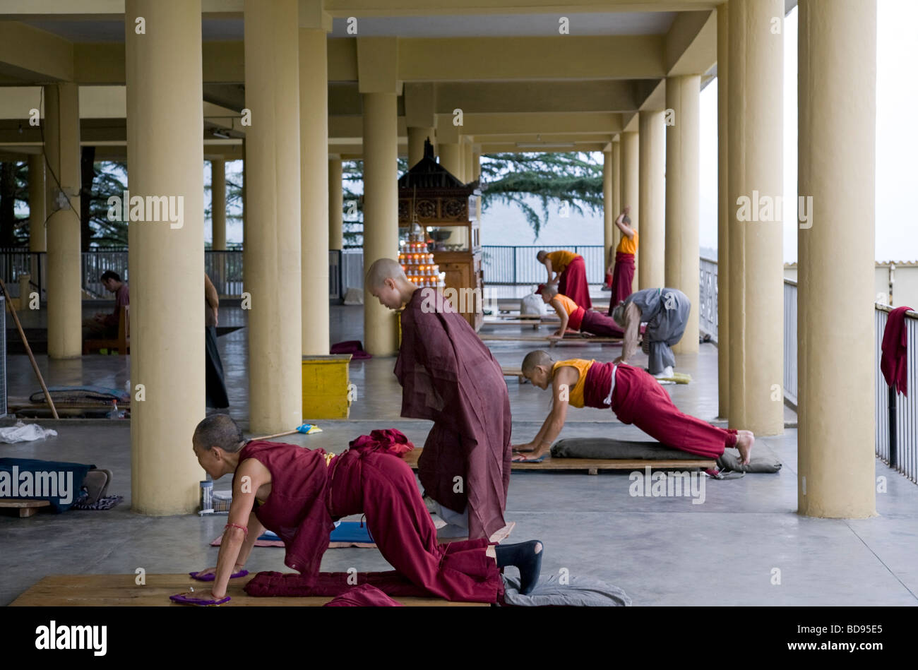 Buddhist monks and nuns making the ritual prostrations. Kalachakra ...